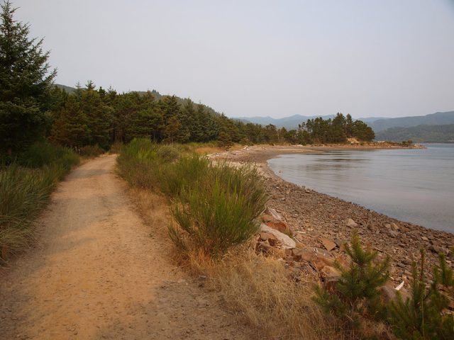 Bayocean – ‘tween bay and sea, a dynamic stretch of wide open nature