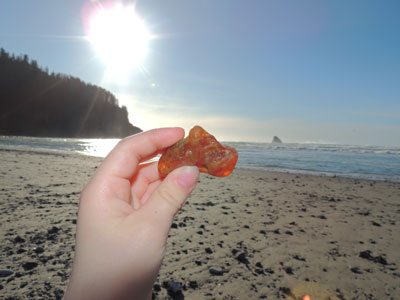 5 Tips for Rockhounding on the Oregon Coast in Tillamook County