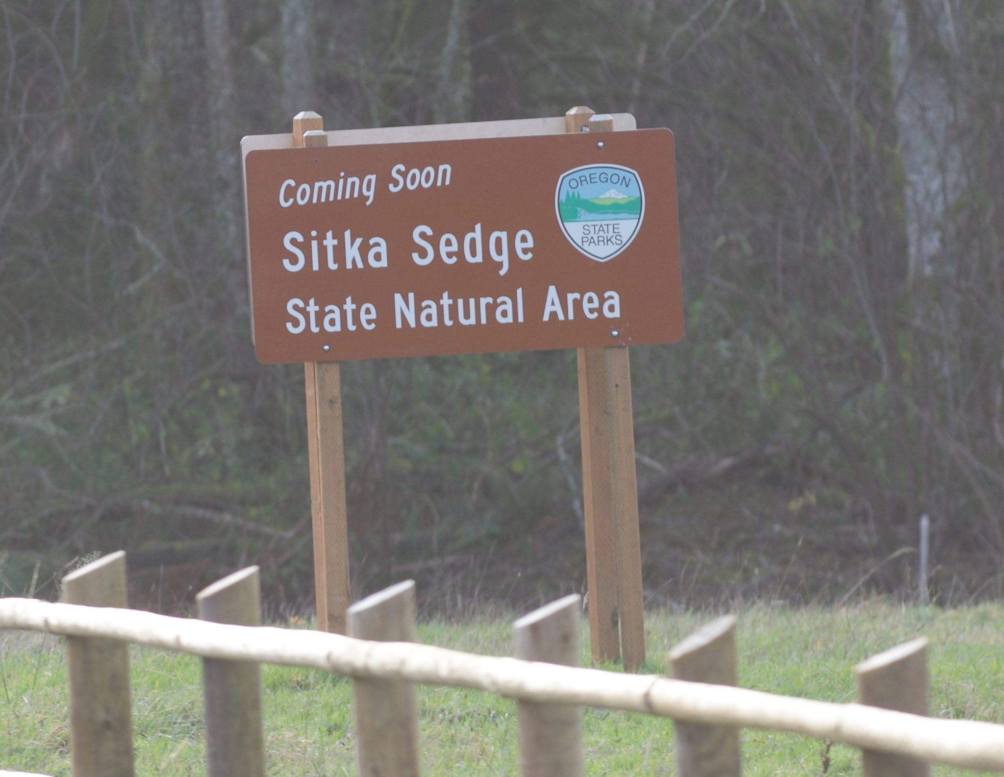 Sitka Sedge State Natural Area now open!