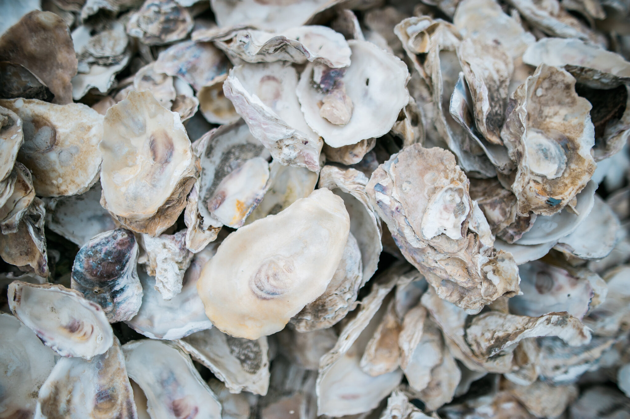 Get to know Bay City